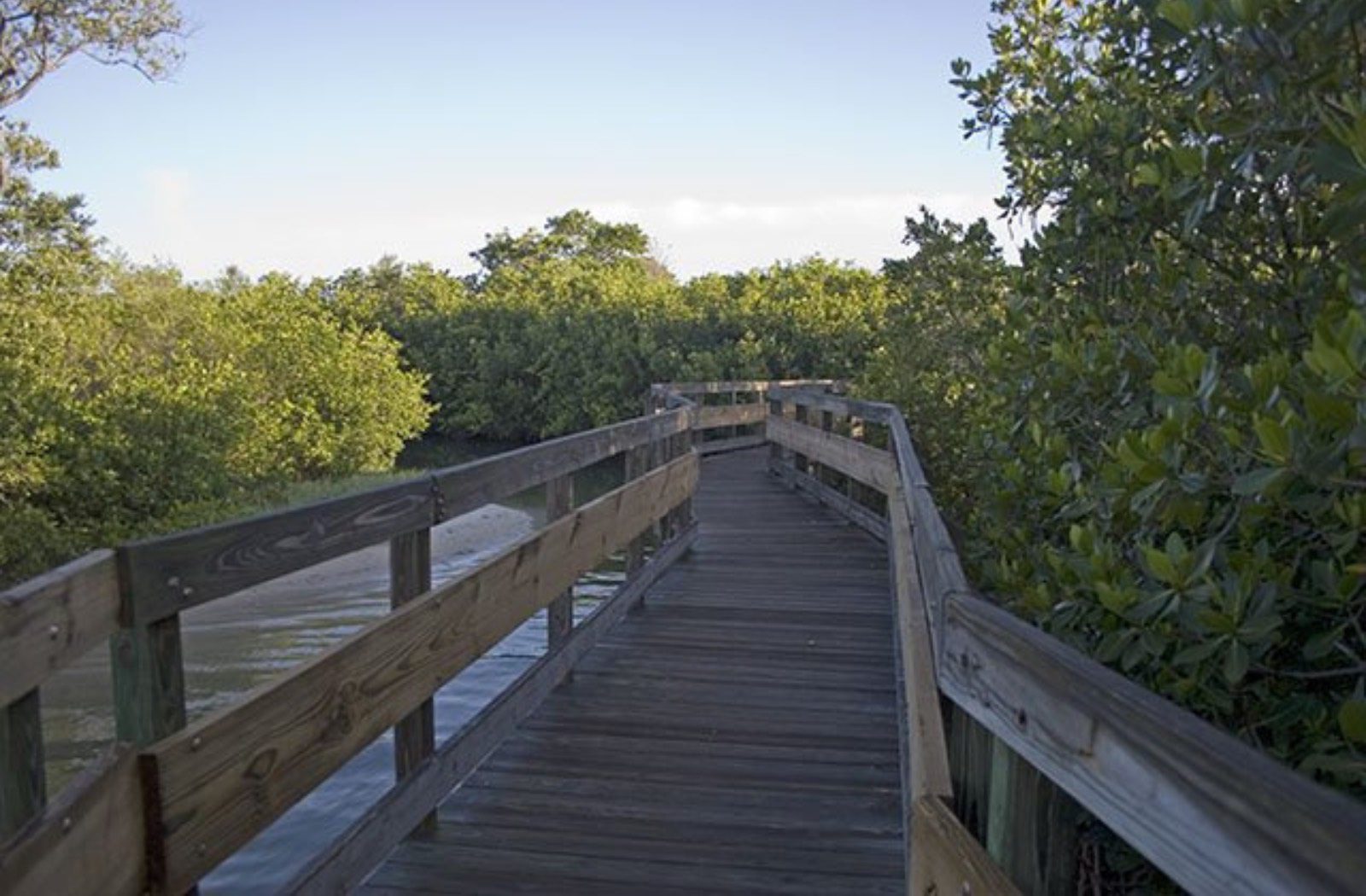 Family-Friendly Hikes on Anna Maria Island: A Fun Outdoor Experience ...