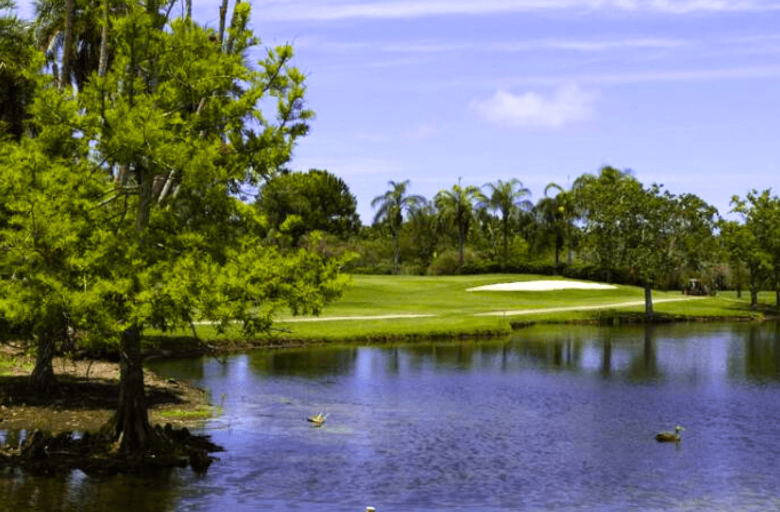 Tee Off in Paradise: Unveiling the Top 5 Golf Courses on Anna Maria ...
